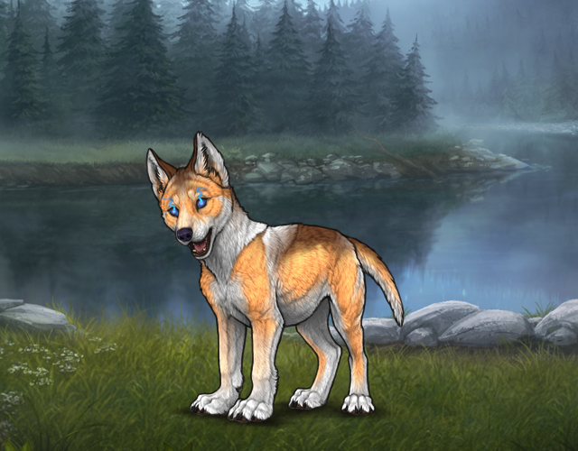 G3 T1 Novus 5m |:| Wolvden