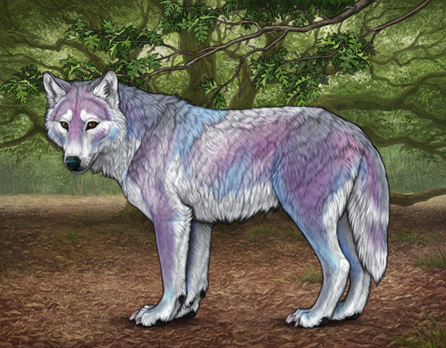 New Runt Puppy |:| Wolvden