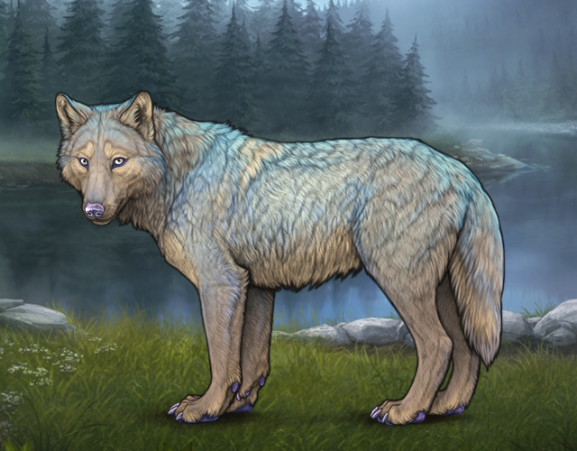 New Befriended Wolf |:| Wolvden