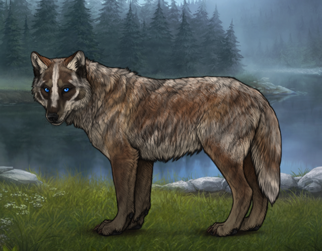 New Befriended Wolf |:| Wolvden