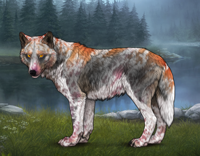 ♀️ ZERDAVA KEEP || TI |:| Wolvden