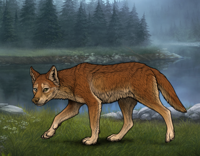 Chased Wolf Spotting - Revamped |:| Wolvden