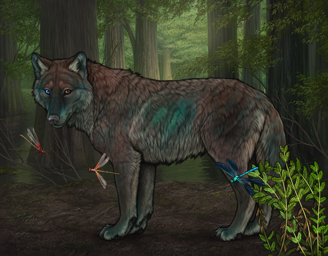 EEEE TBN :3 |:| Wolvden