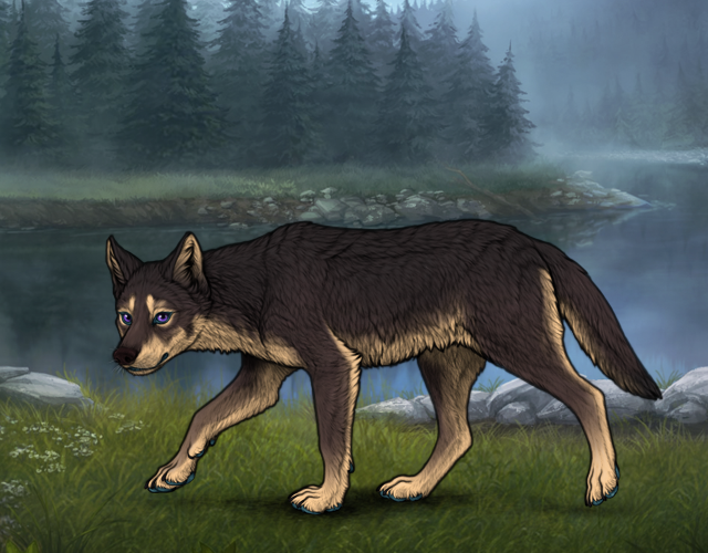 Siqoq - Three Markings |:| Wolvden