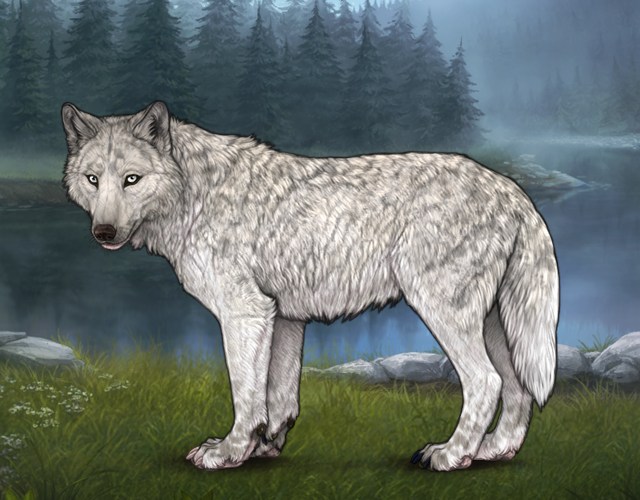 G5 M Dust 4M NIB |:| Wolvden