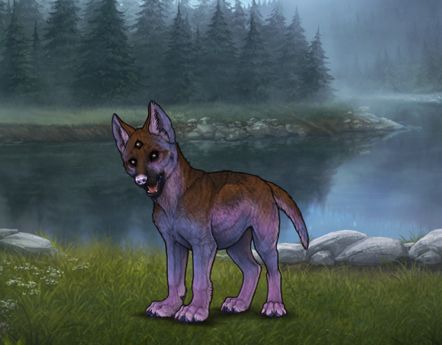 $ M Dark Brown |:| Wolvden