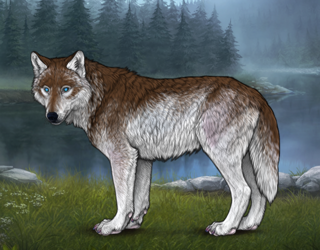 Pumice T1 6m 386 🔥 |:| Wolvden