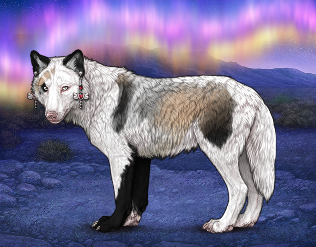 $ G2 Pearl DIP 6M |:| Wolvden