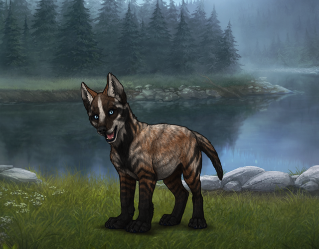 Male B |:| Wolvden