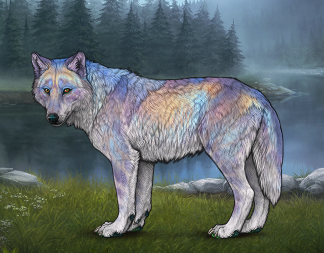 g3 m t2 8m holly |:| Wolvden