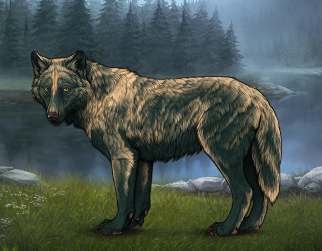 Welcome to Wolvden