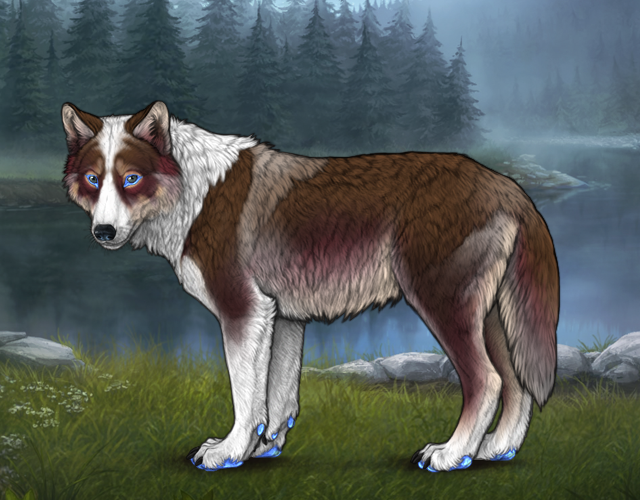 8m Russet Male 30sc |:| Wolvden