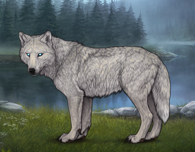 G8 Tier II 4M |:| Wolvden