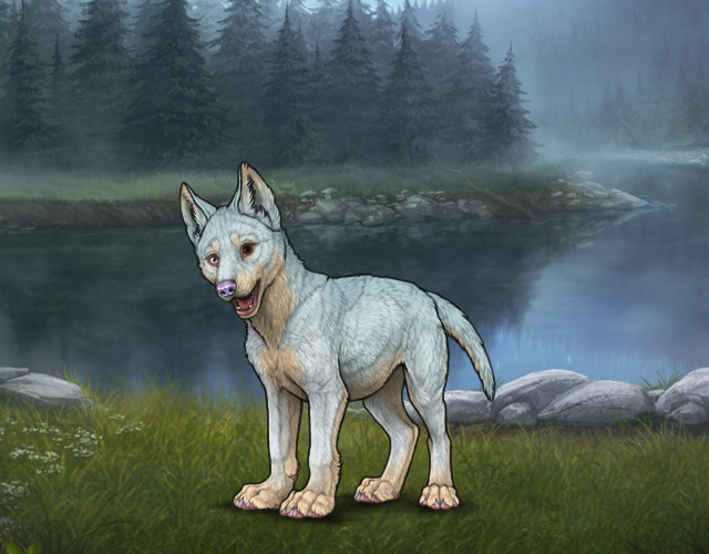 m gray I 5m ꒰ⁱᵛ꒱ |:| Wolvden