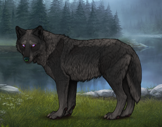 Clover Novus G2 Merle |:| Wolvden