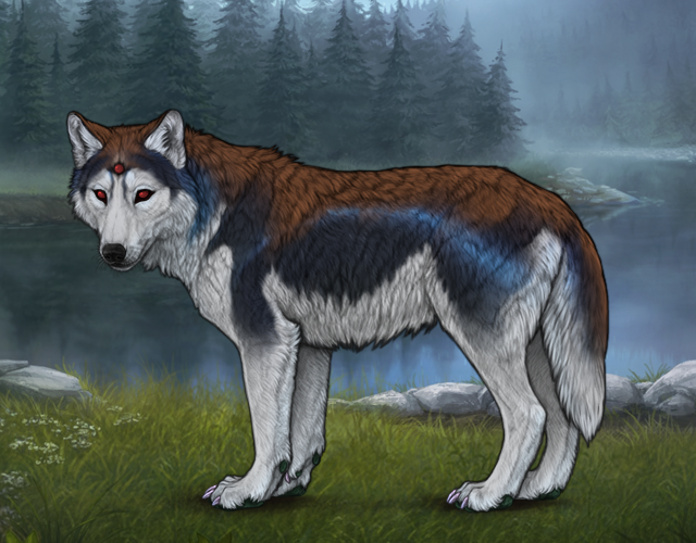 newbie starter kit |:| Wolvden