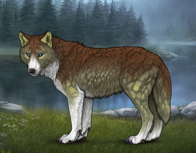 6M t2 Blue Moon |:| Wolvden