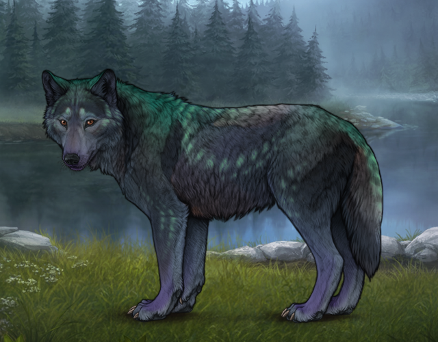 Light show |:| Wolvden