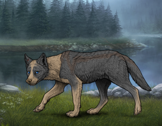 New Puppy |:| Wolvden