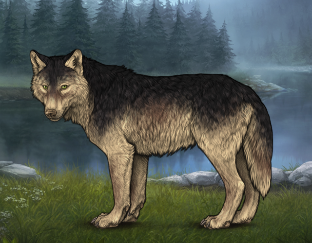 [OPEN] 🔥 Lamar Valley REVERSE BREEDING – My Girls, Your Studs |:| Wolvden