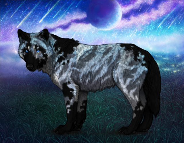 G6 Pointed Mel/Alb Carry |:| Wolvden