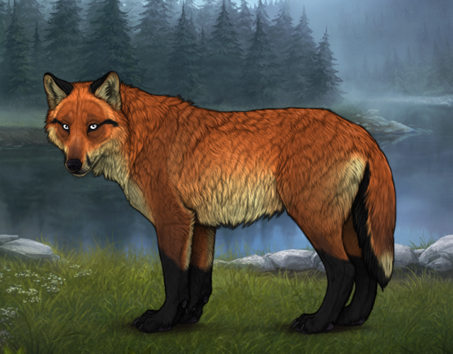Black panda/vixen t3 fox |:| Wolvden
