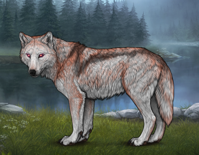 New Runt Puppy |:| Wolvden