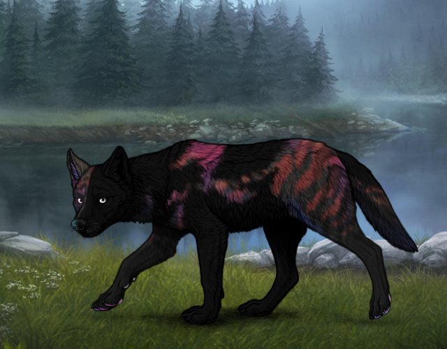 Split M Tll 3M G2 |:| Wolvden