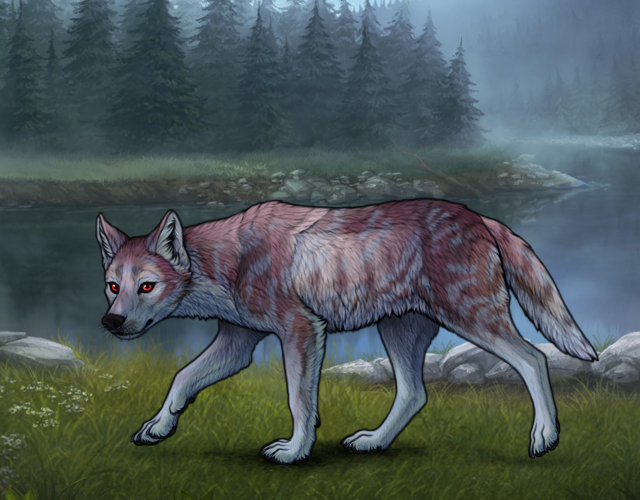 New Puppy |:| Wolvden