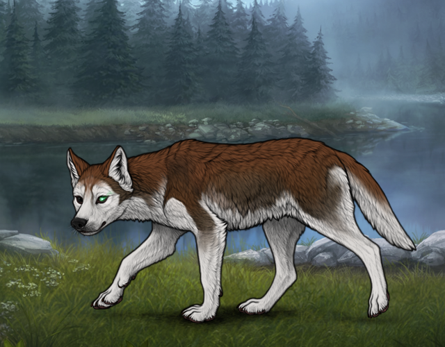 nbw moss tbn/decorate |:| Wolvden