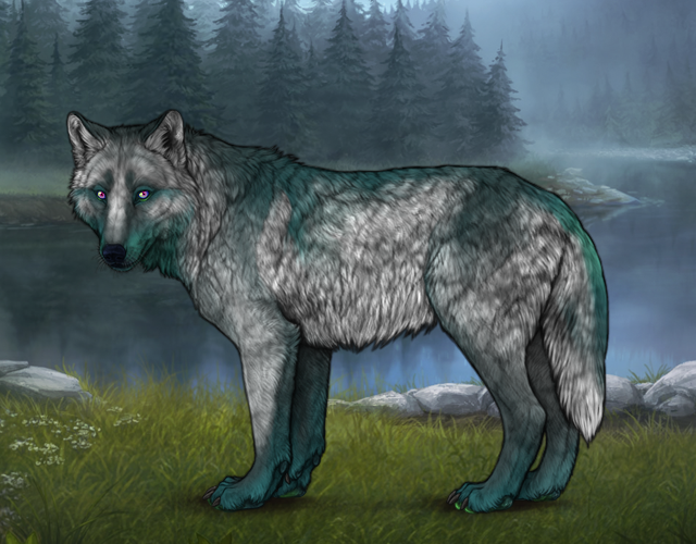 Design My Next Stud Win GC CLOSED |:| Wolvden