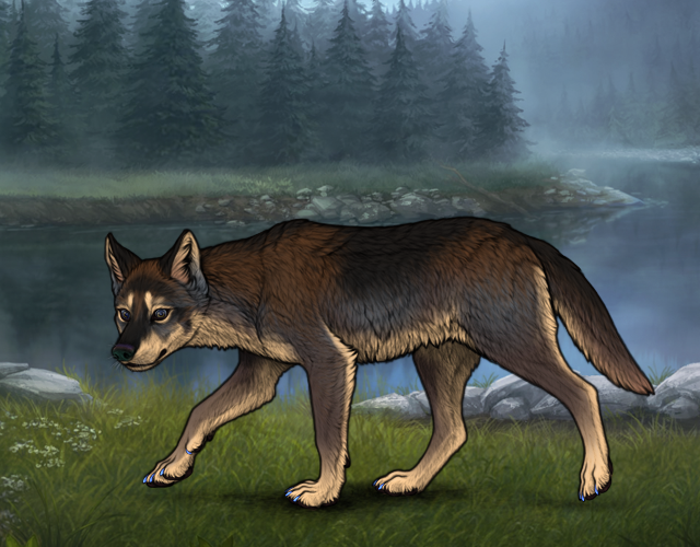 New Befriended Wolf |:| Wolvden