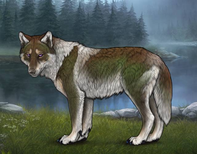 G2 Blueschist |:| Wolvden