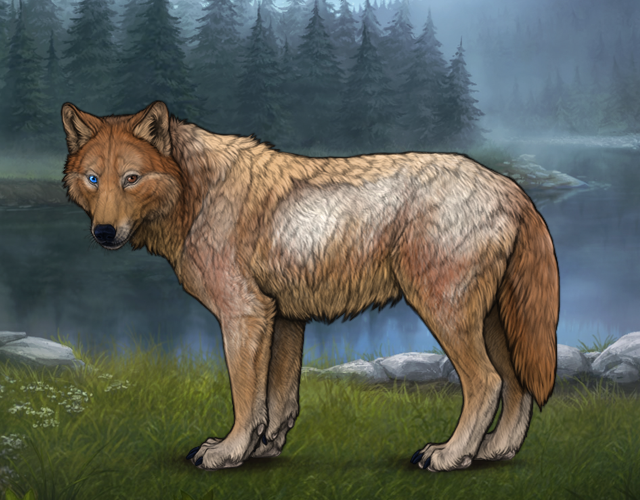 Stud potential |:| Wolvden