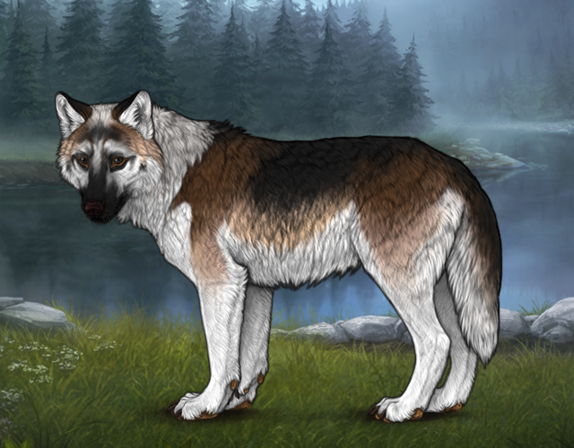 White Opal |:| Wolvden