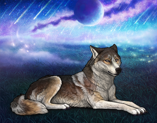 Czarᴳ¹ |:| Wolvden