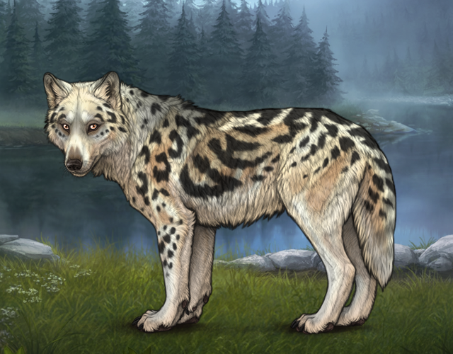 tomb raider♥ |:| Wolvden