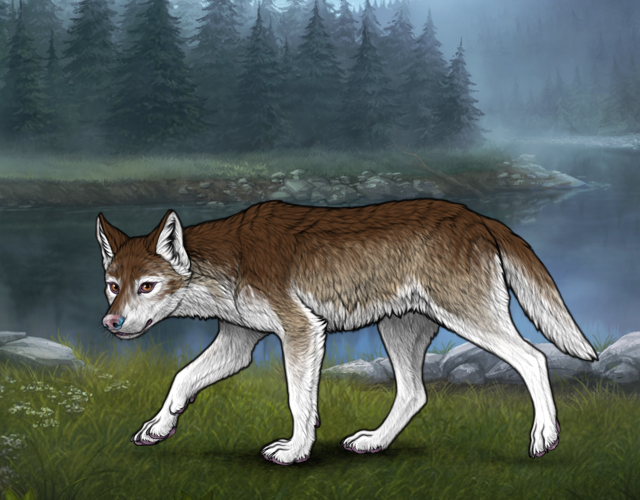 g2 moj 5m |:| Wolvden