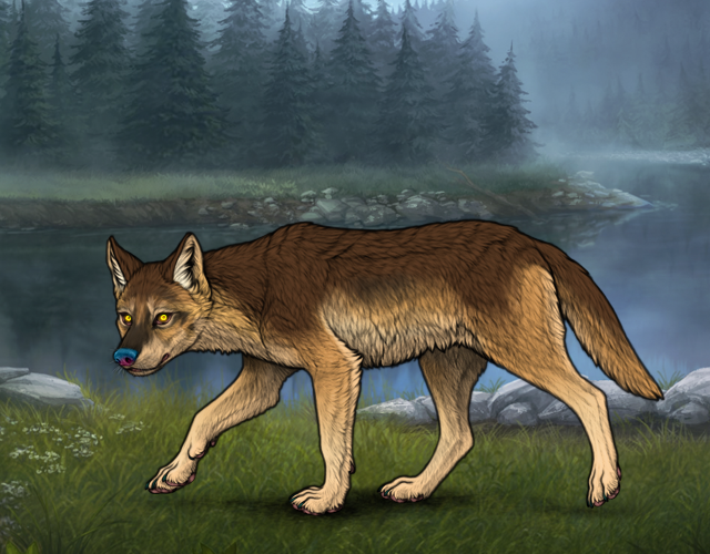 Train and Sell | Stalker |:| Wolvden