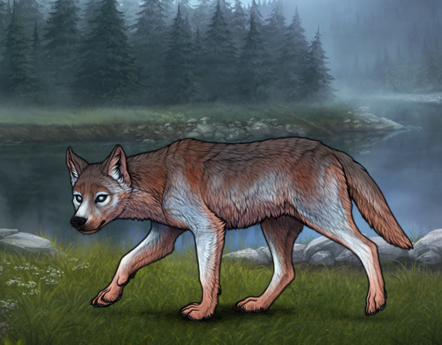 Calcite II |:| Wolvden