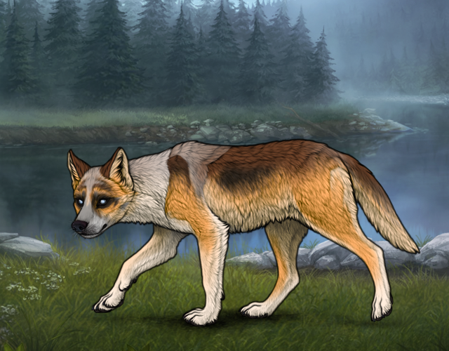 G2 Umbra 4m |:| Wolvden