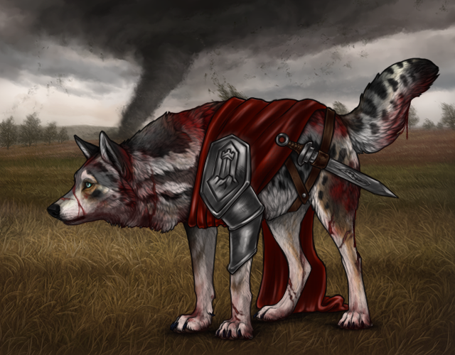 Chased Wolf Spotting - Revamped |:| Wolvden