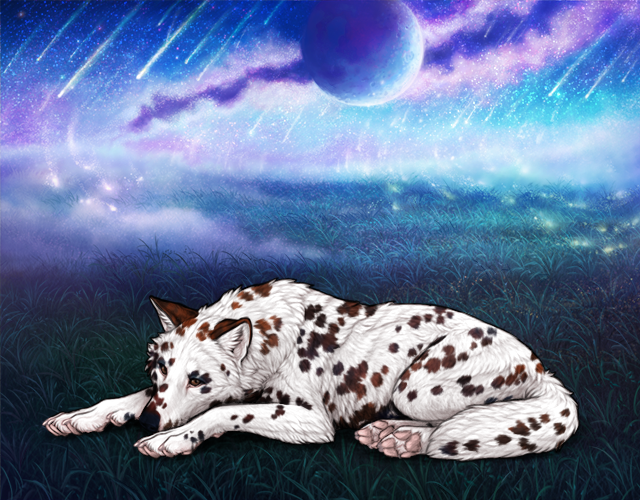 Daisy'Rain |:| Wolvden