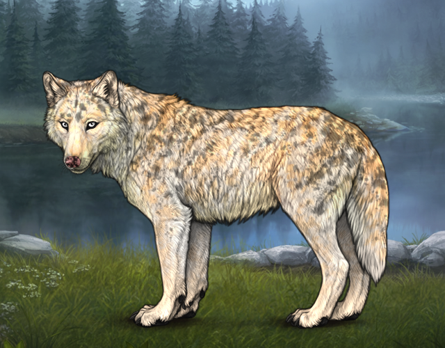 New Puppy |:| Wolvden
