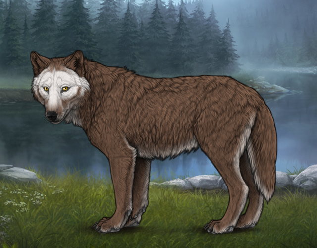 New Puppy |:| Wolvden