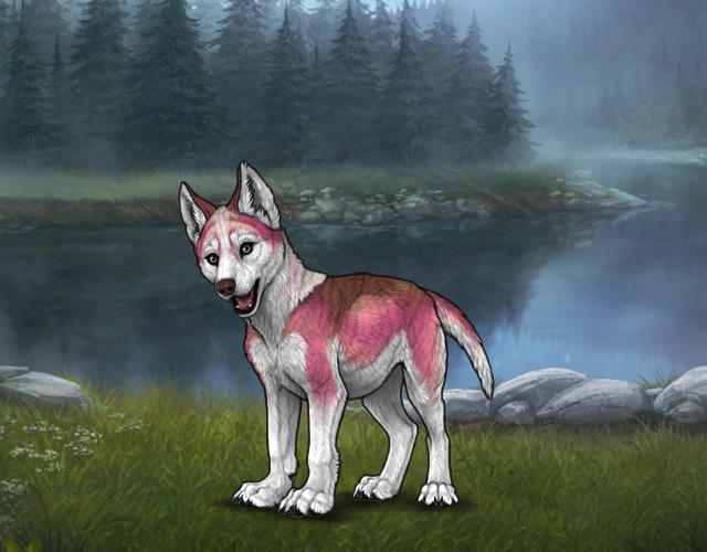 Auburn T2 | 6t3m | 386st |:| Wolvden