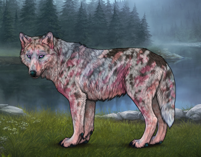 New Runt Puppy |:| Wolvden