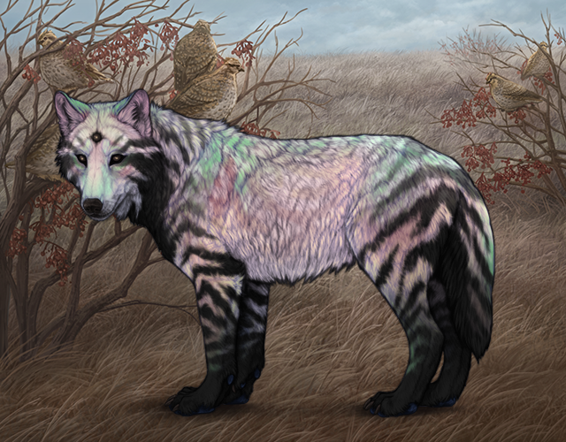Chased Wolf Spotting - Revamped |:| Wolvden