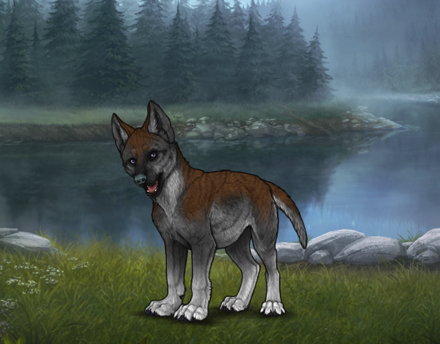 💵Pretty as an adult |:| Wolvden