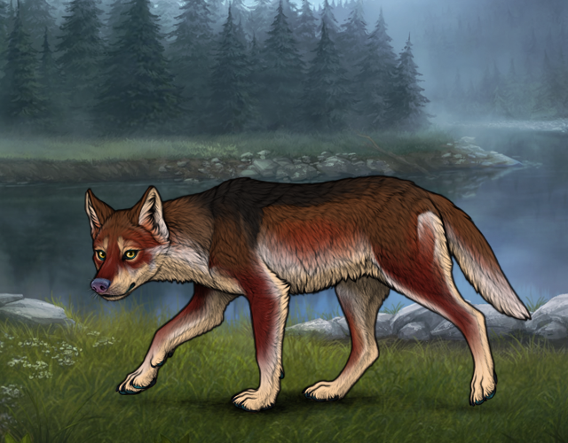 NBW Lily |:| Wolvden